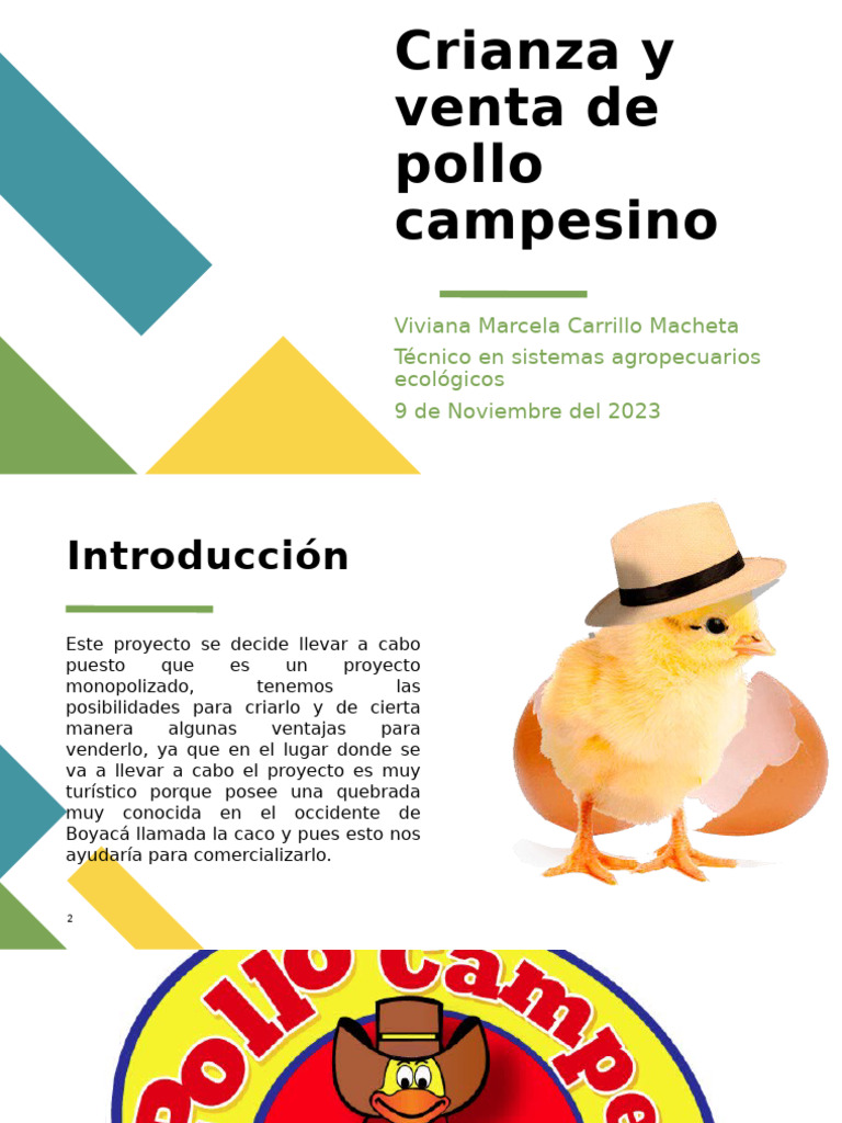 Crianza y Venta de Pollo Campesino en Boyacá | PDF | Marketing | Alimentos