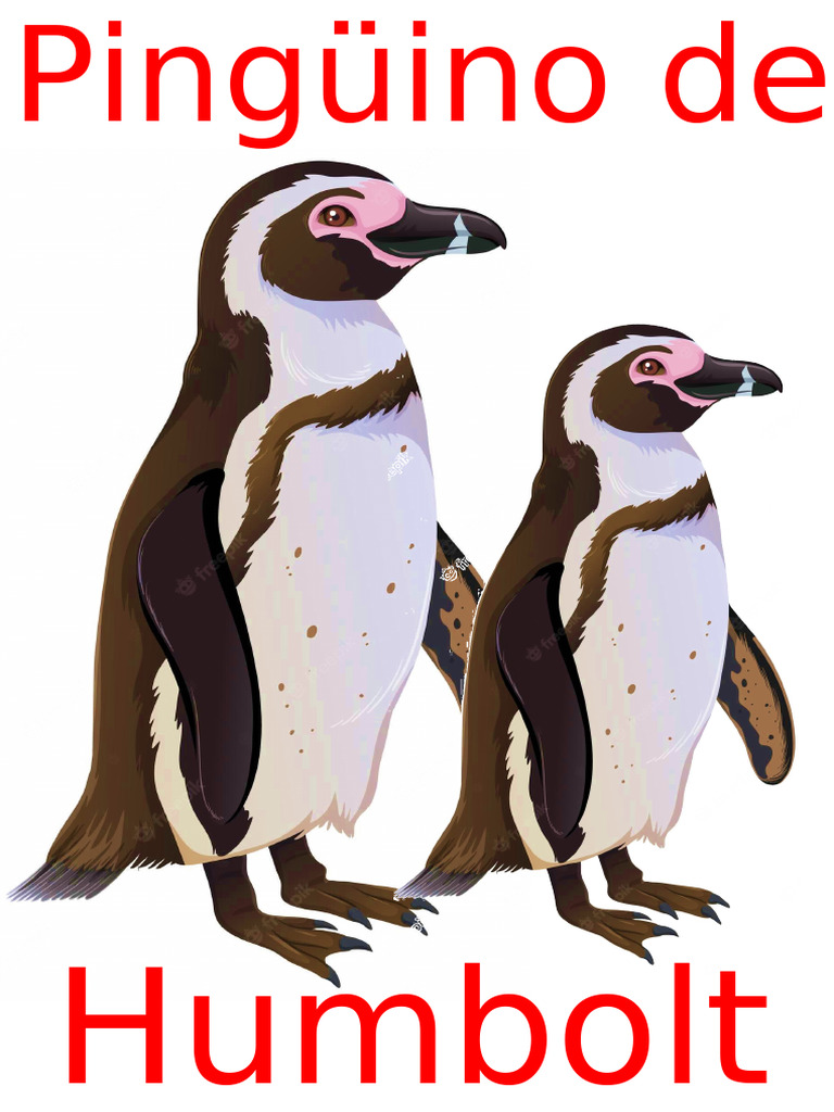 Flora y Fauna Del Mar Peruano | PDF