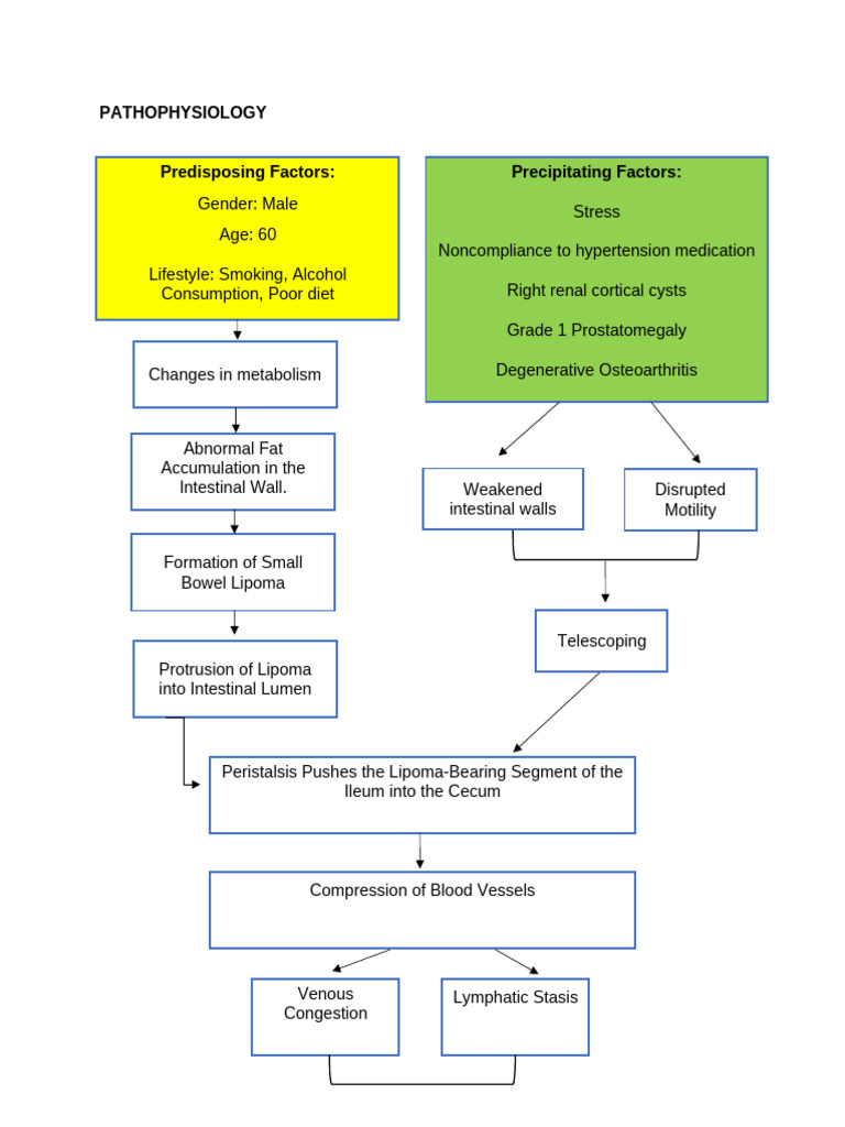 Intestinal Obstruction Pathophysiology | PDF | Medical Specialties ...
