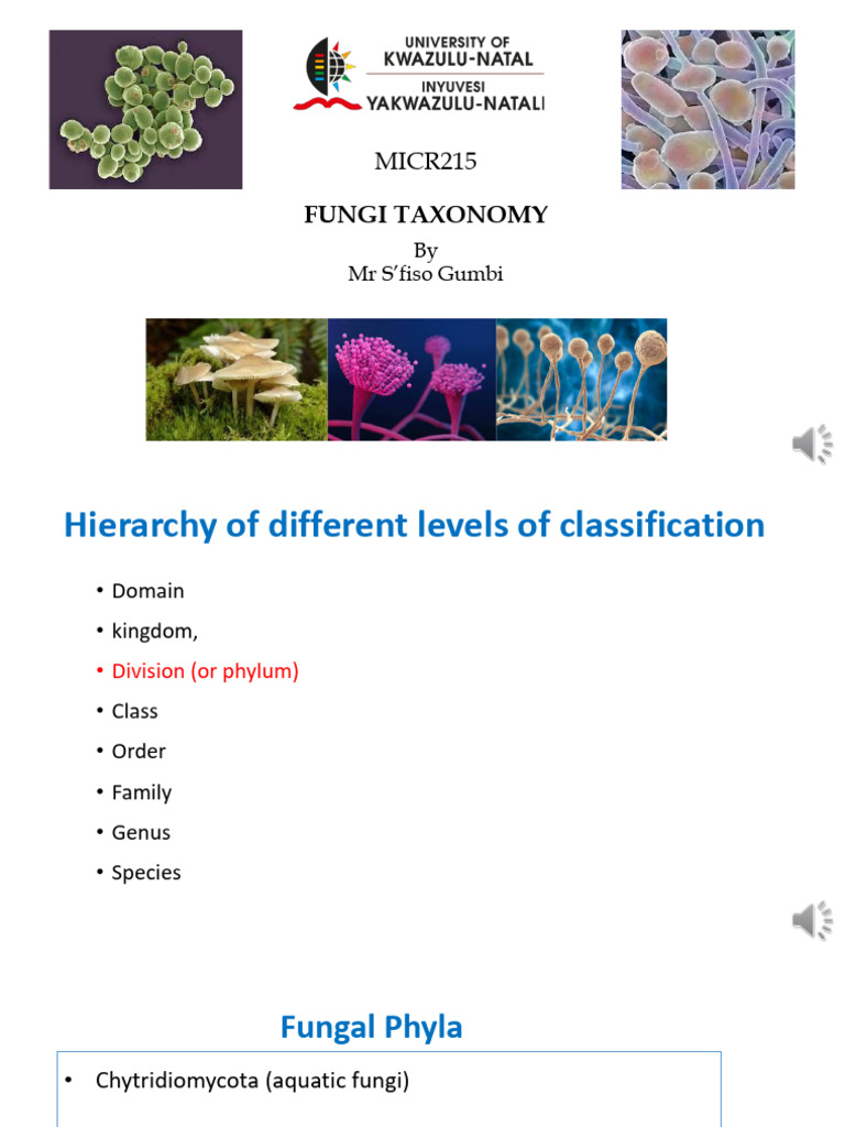 Fungal taxonomy | PDF | Fungus | Biology