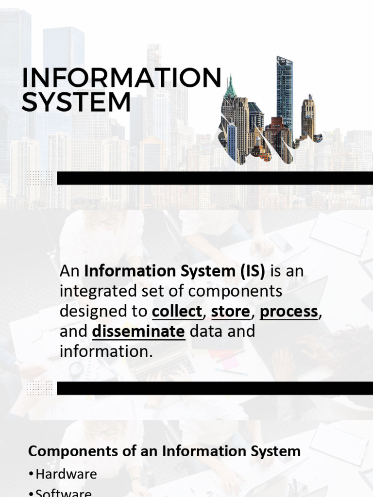 Information System Lecture 1 | PDF
