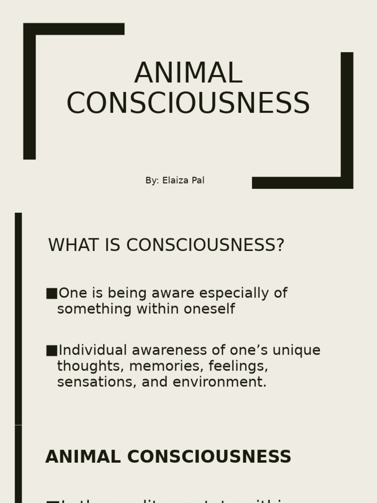 Understanding Animal Consciousness | PDF | Cognitive Science ...