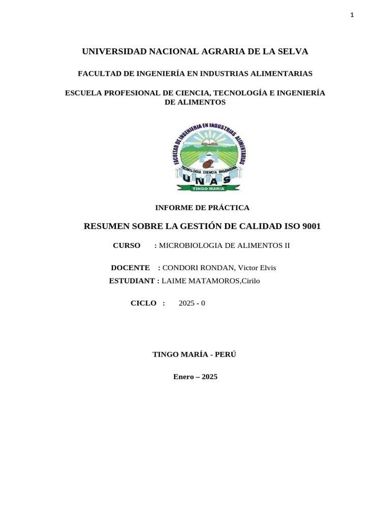 RESUME_ISO_9001[1] (Recuperado automáticamente) | PDF | Análisis de ...