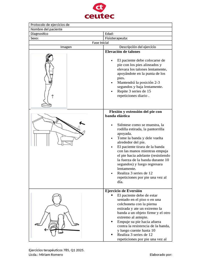 Protocolo de Ejercicios Tobillo | PDF | Pie | Sistema musculoesquelético