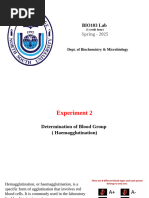 Blood Group Report Format | PDF