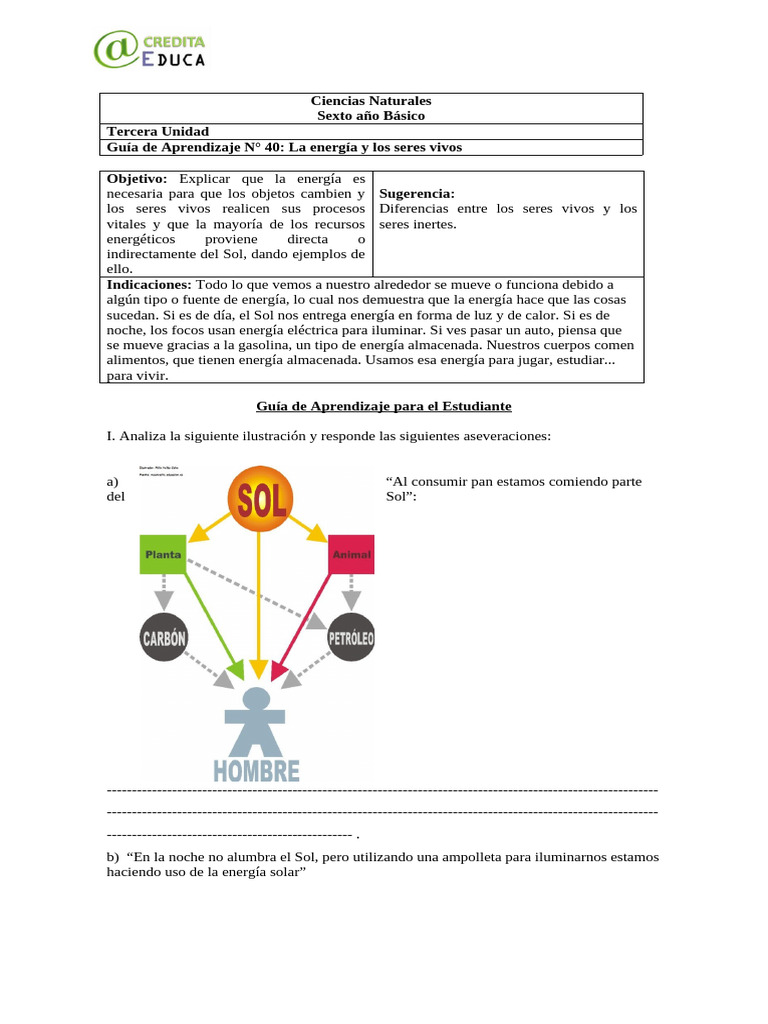 Energía y Vida: Guía de Aprendizaje | PDF | Dom