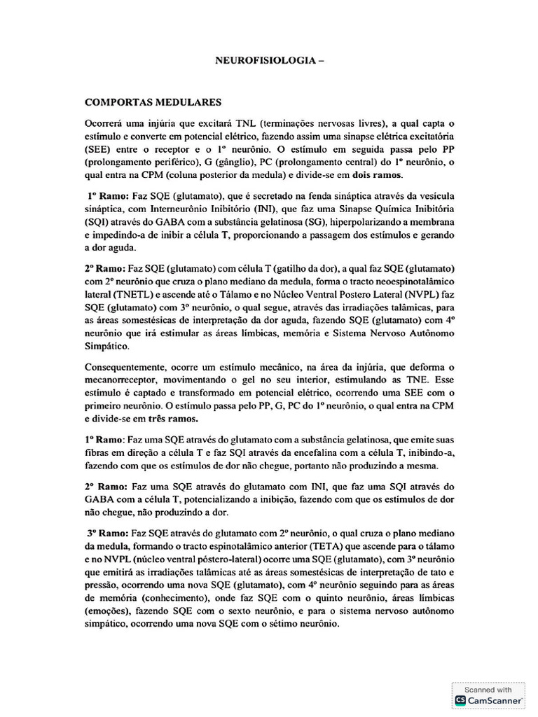 Comportas Medulares | PDF