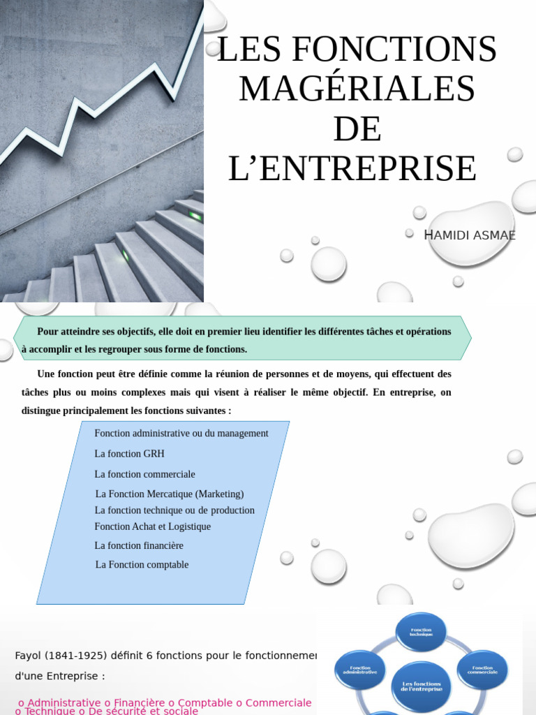 Les fonctions magériales de l’entreprise | PDF | Gestion des ressources humaines | Business