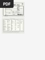 Formato de Alta Vehicular SLP | PDF | Gobierno | Business