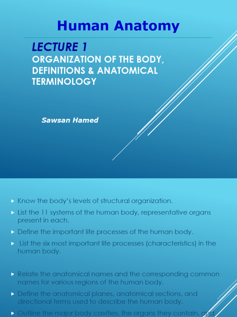 Anatomy-lect.-1 | PDF | Tissue (Biology) | Anatomy