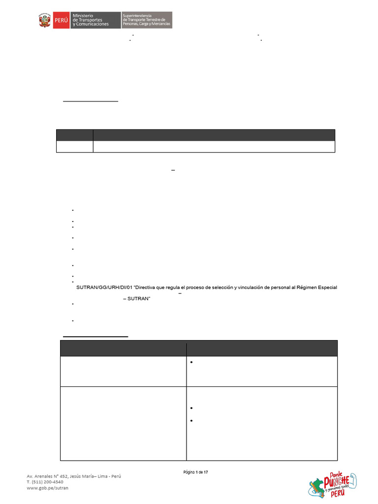 Cas 033-2025 - Bases - Inspector Ud - Gat Ica | PDF | Perú | Titulo academico