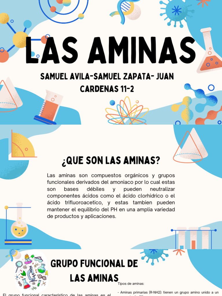 Las Aminas | PDF | Amina | Compuestos orgánicos
