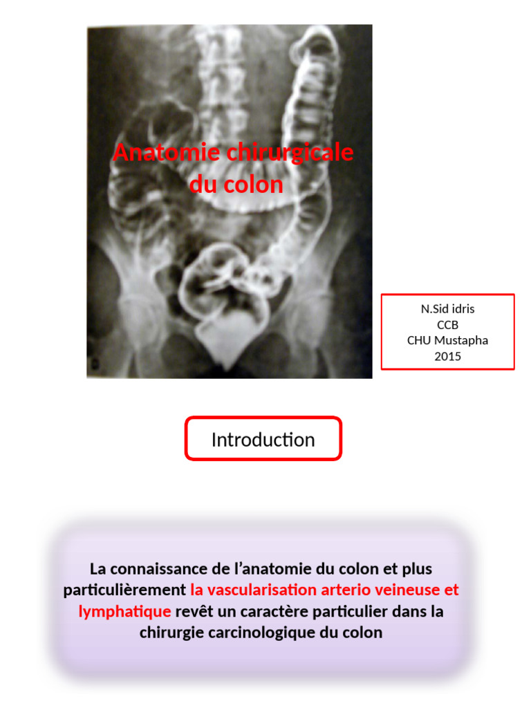 Anatomie chirurgicale du colon humain | PDF | Gros intestin | Anatomie