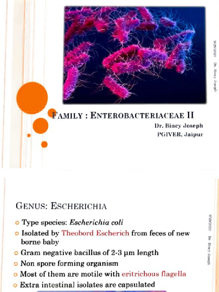 16. Enterobacteriaceae family | PDF
