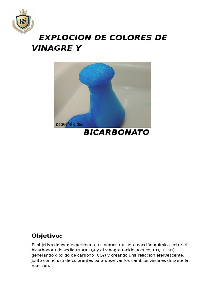Informe Uwu | PDF