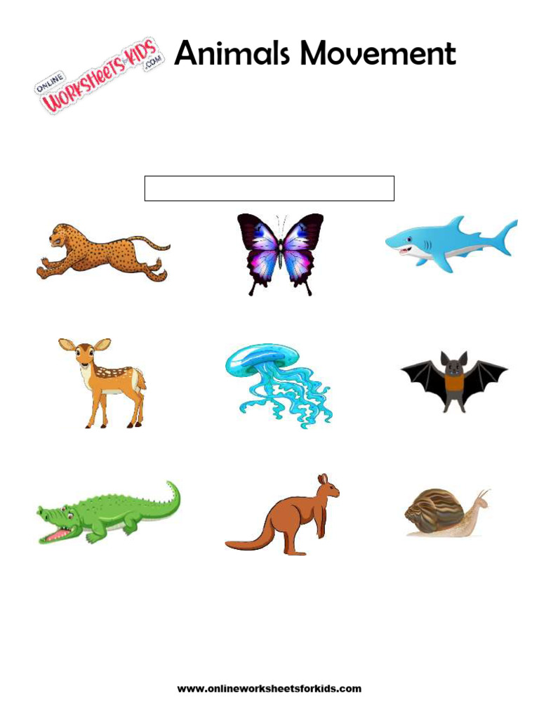 Animals Movement Worksheets For 1st Grade 2 | PDF