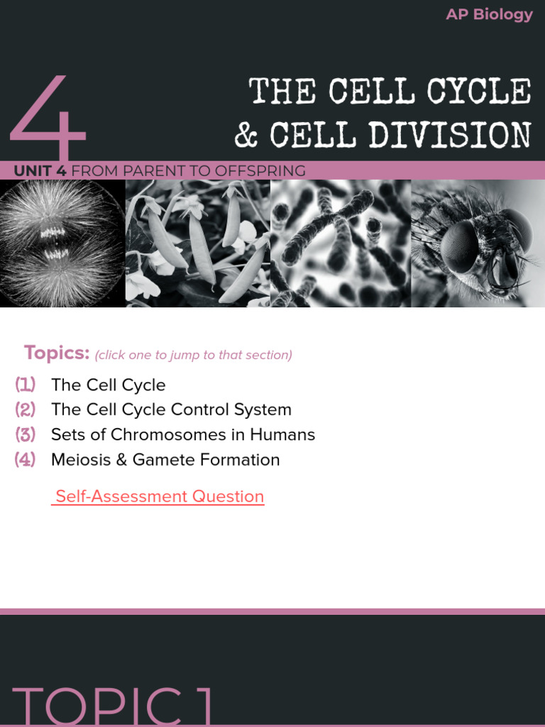 Unit 4 Part 1 The Cell Cycle & Cell Division AP Bio | PDF | Meiosis ...