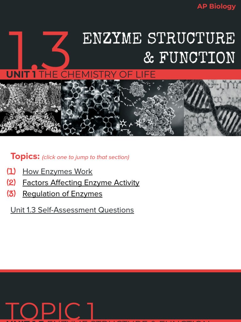AP Bio Unit 1.3 Enzyme Structure and Function 2223 | PDF | Enzyme ...