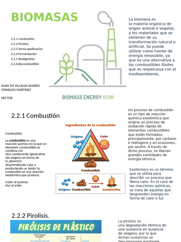 Procesos de Biomasa: Energía Renovable | PDF | Combustión | Pirólisis