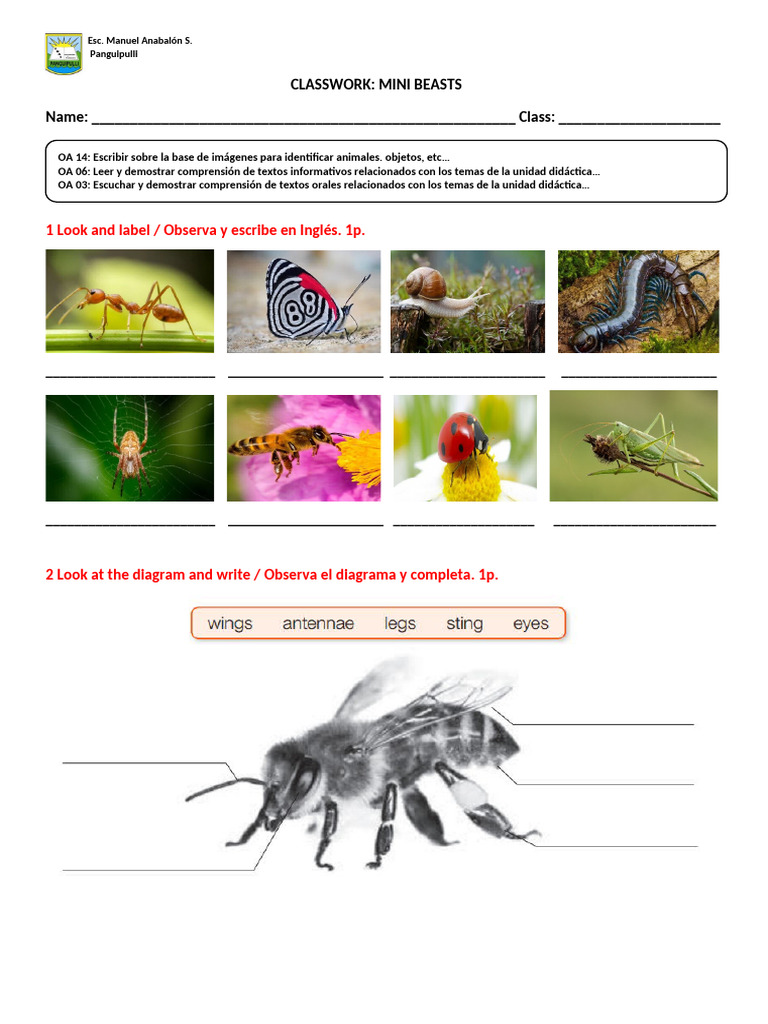 4o Mini Beasts | PDF