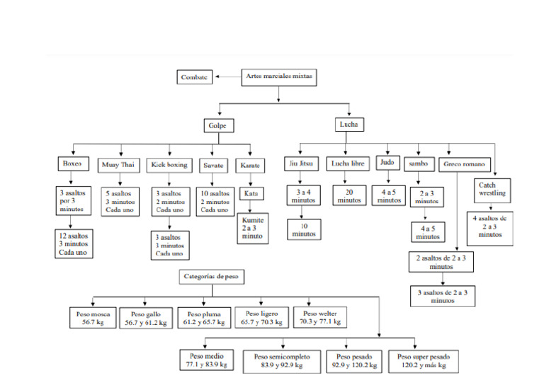 Mapa Conceptual Mma. | PDF