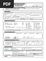 Formato Sseebra | PDF | Subestacion electrica | Naturaleza
