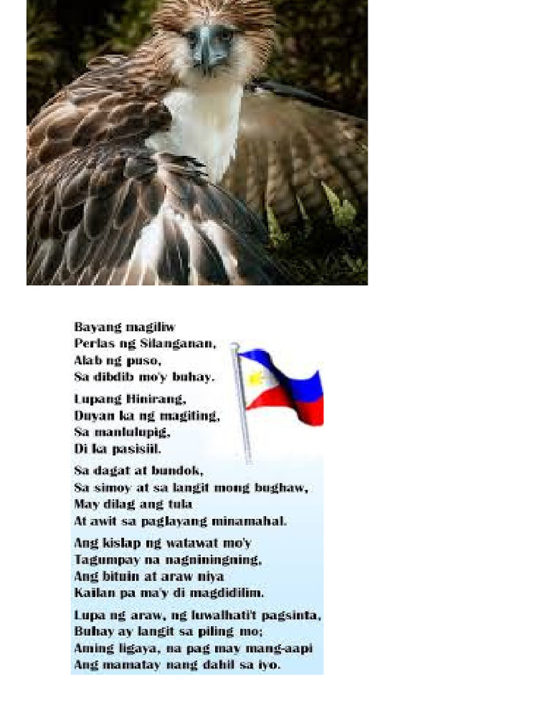 Untitled Design - 20250111 - 194444 - 0000 | PDF