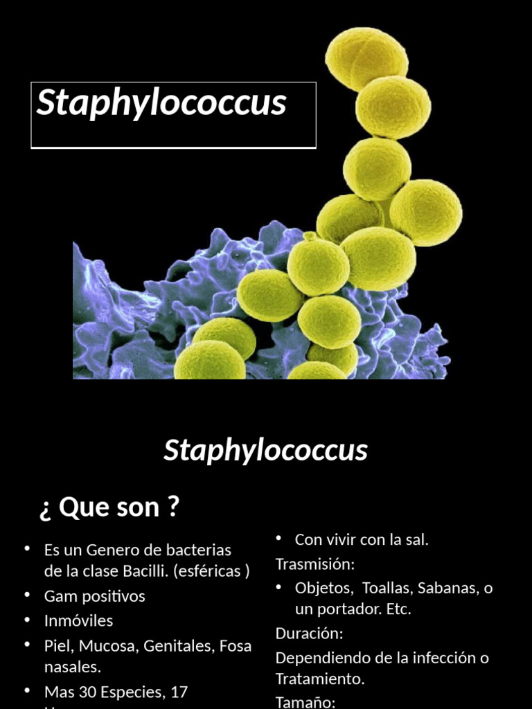 Staphylococcus | PDF