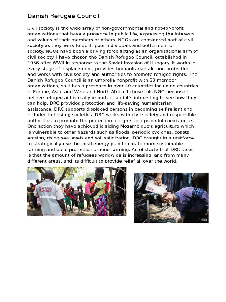 Danish Refugee Council: Global Aid Efforts | PDF