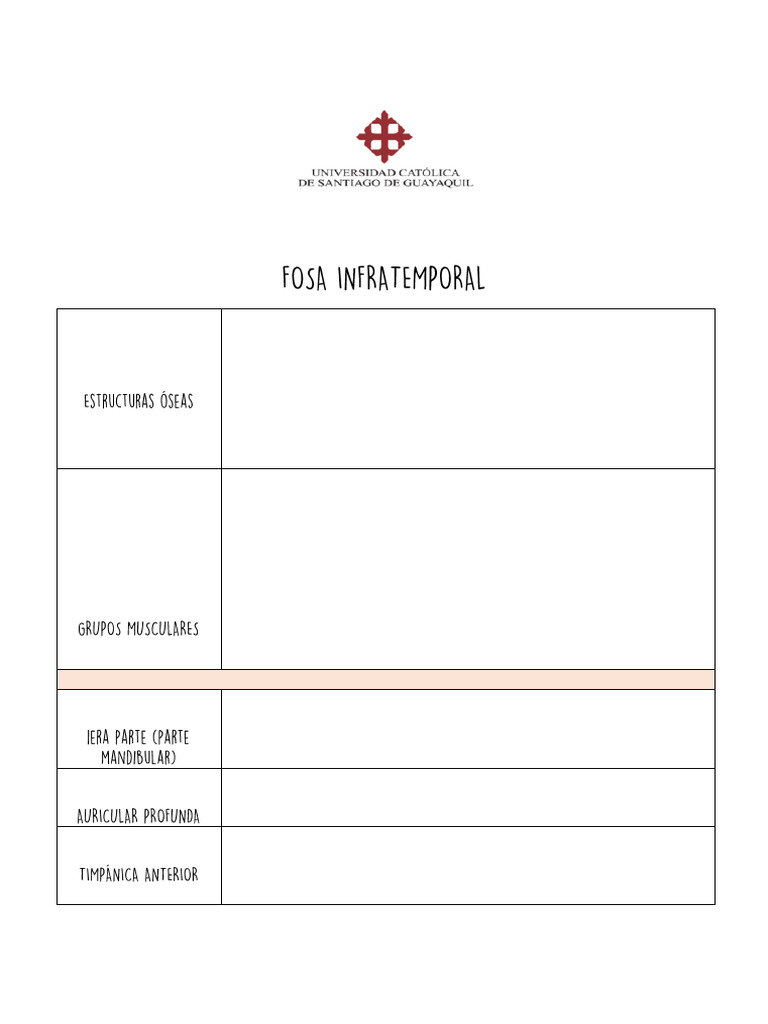 Anatomía Fosa Infratemporal | PDF | Anatomía humana | Cabeza y cuello ...