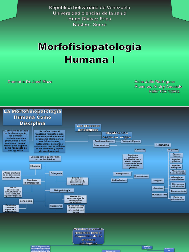 Mapa conceptual morfopato2.0 | PDF | Patología | Ciencias de la vida