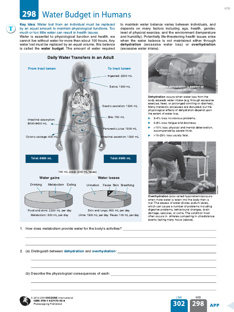 298 Water Budget in Humans | PDF | Dehydration | Medical Specialties