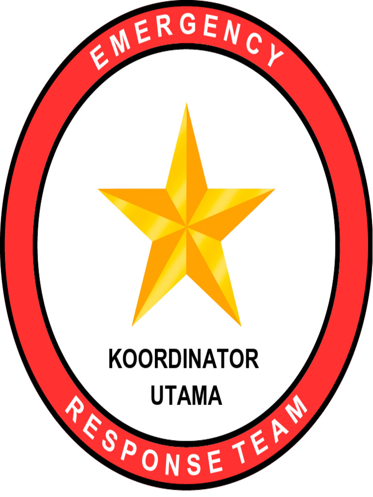Emergency Coordinator Role Overview | PDF