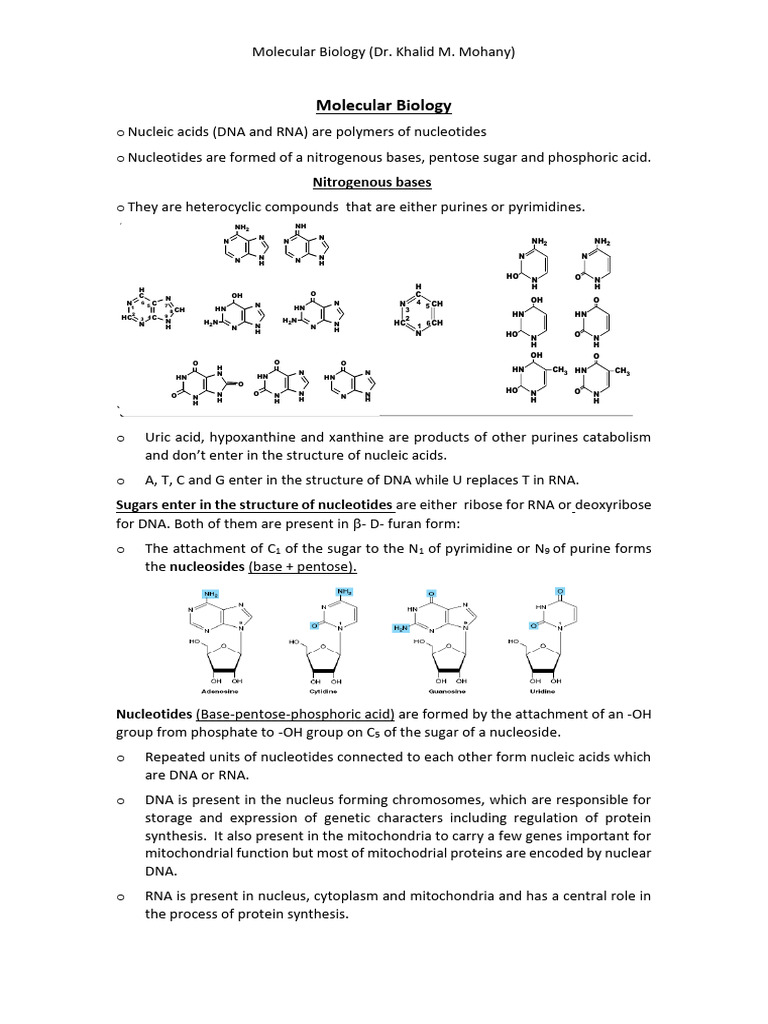 15 Molecular Biology | PDF | Dna Replication | Histone