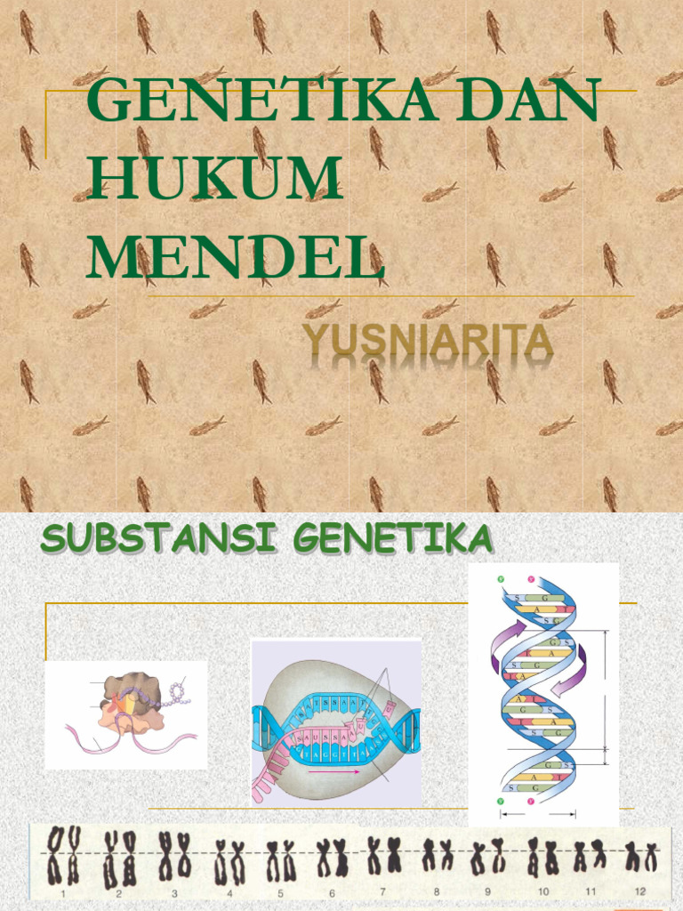 Struktur dan Fungsi Kromosom Genetik | PDF