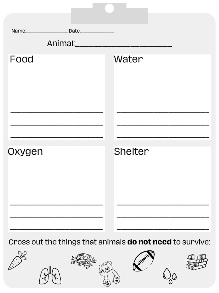Animal Survival Needs Worksheet | PDF