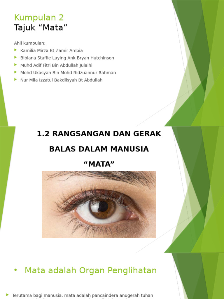 kumpulan 2_MaTa | PDF