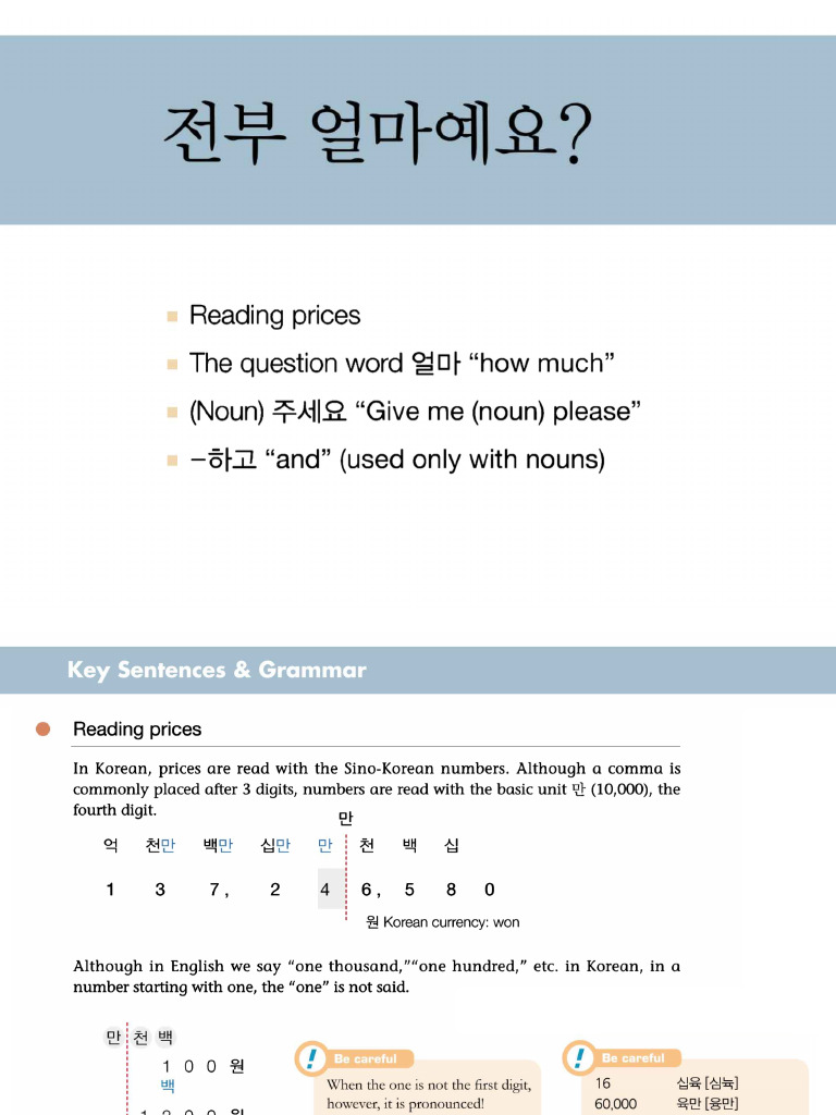 Reading Prices and Asking "How Much?" | PDF