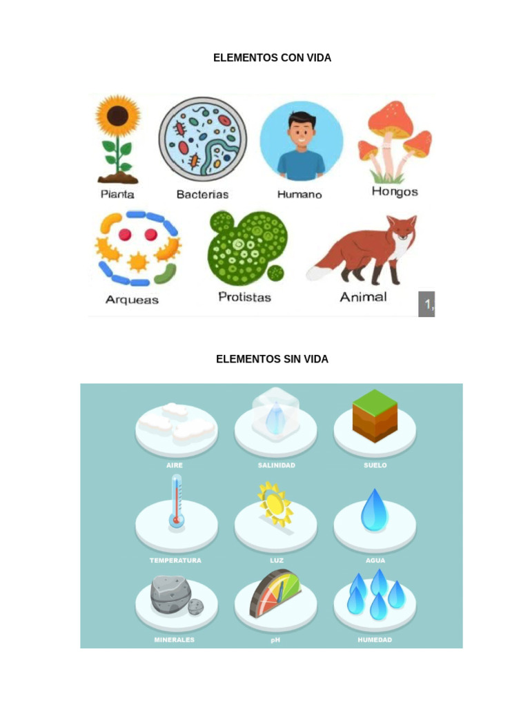 Elementos Con y Sin Vida. Objetos Naturales y Artificiales | PDF