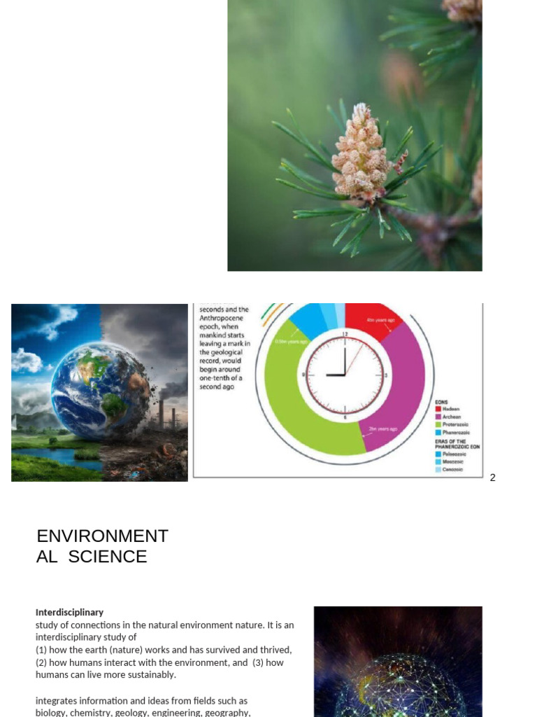 Introduction to Environmental Science | PDF