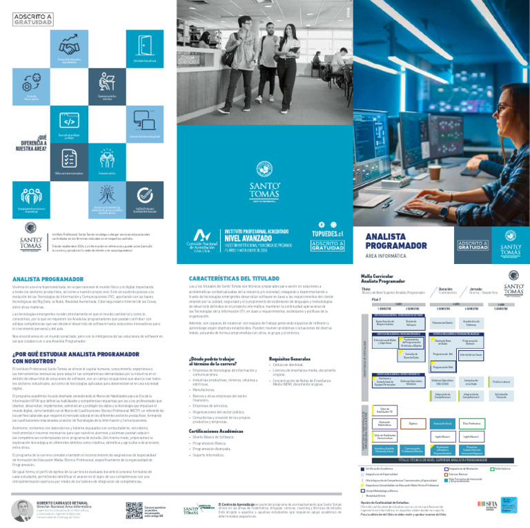 Ip Analista Programador 2025 | PDF | Software | Tecnologías de la información