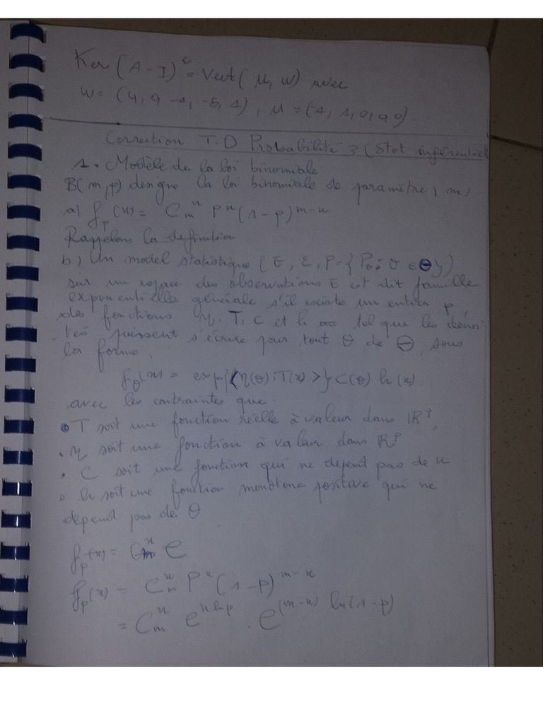 ACE Scanner - 2025 - 03 - 08 | PDF