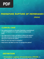 Actim PROM Brochure 022018 | PDF | Sensitivity And Specificity ...