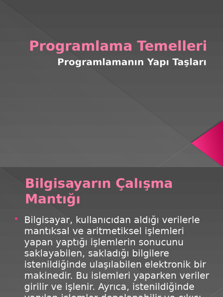 Programlama Temelleri | PDF