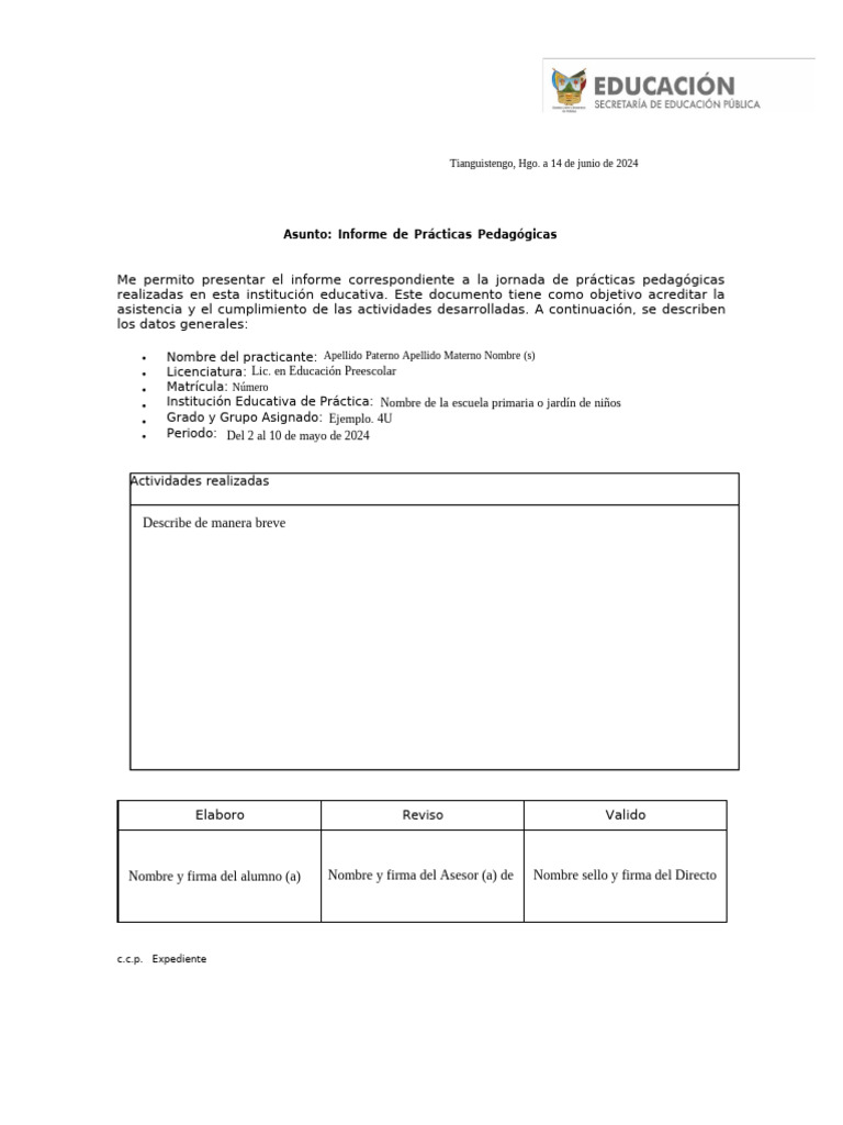 Informe de Practicas Pedagogicas | PDF