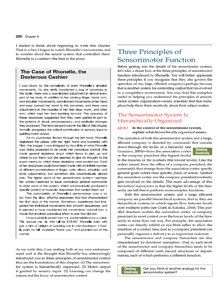The Sensory Motor System | PDF
