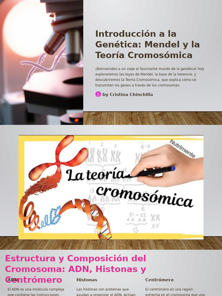 Introduccion A La Genetica Mendel y La Teoria Cromosomica | PDF | Cromosoma | Adn