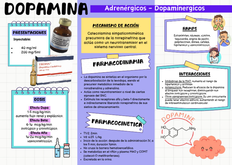 Folleto Tríptico de La DOPAMINA | PDF | Norepinefrina | Dopamina