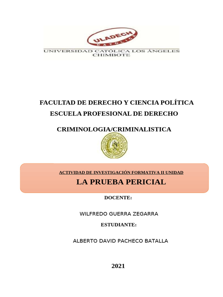 LA PRUEBA PERICIAL | PDF | Evidencia (ley) | Testigo experto