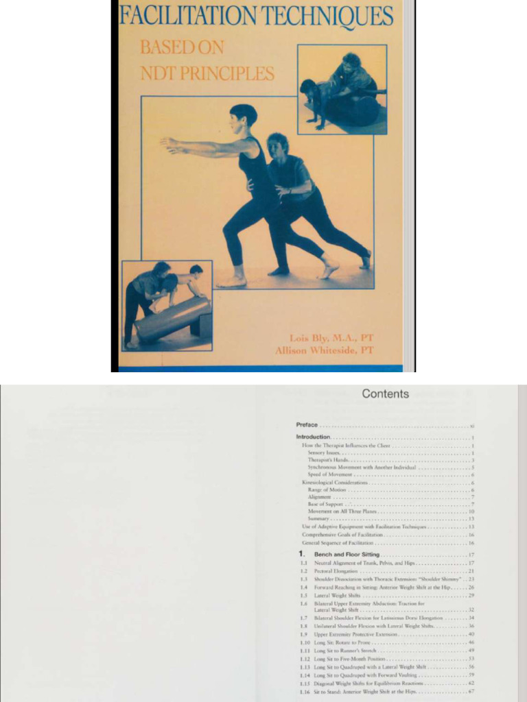 Facilitation Techniques Based On NDT Principles | PDF